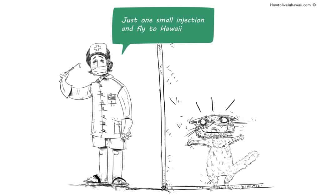 FAVN Test Hawaii: Best Guide To Bringing Pets Step 4